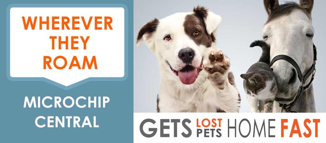 Microchip Central for Dogs, Cats and every pet